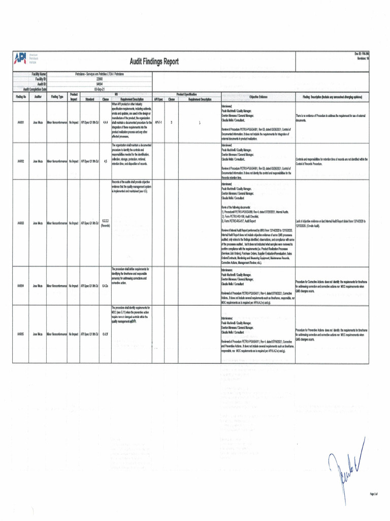 Audit Findings Report | PDF