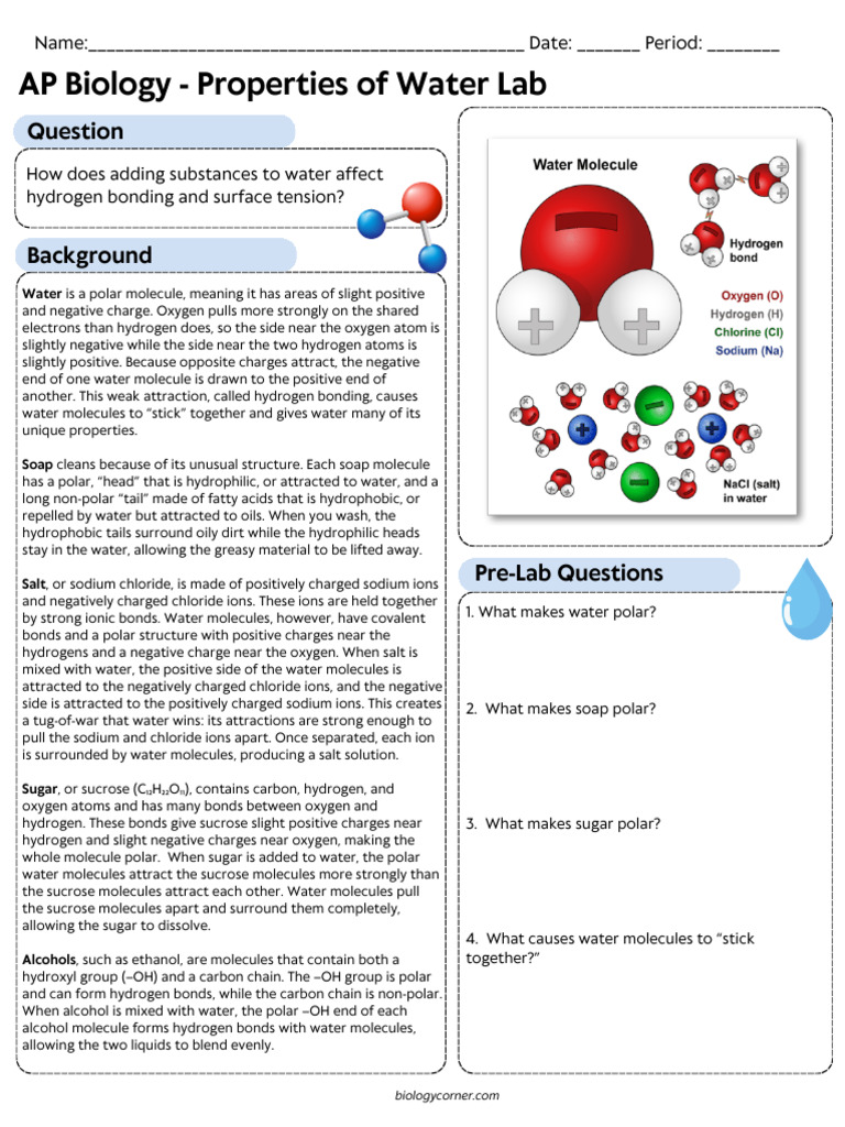 AP Biology Water Properties Lab Questions | PDF | Chemical Polarity ...