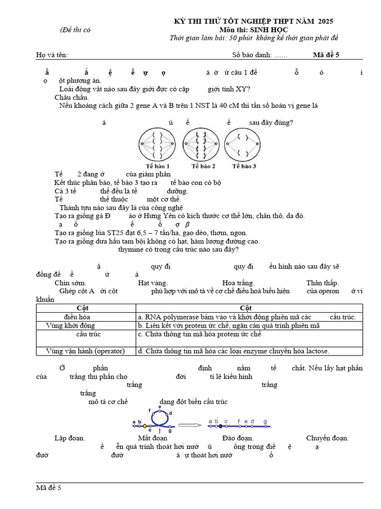 De Thi Thu Tot Nghiep THPT 2025 Mon Sinh Hoc Truong THPT Giap Hai Bac ...