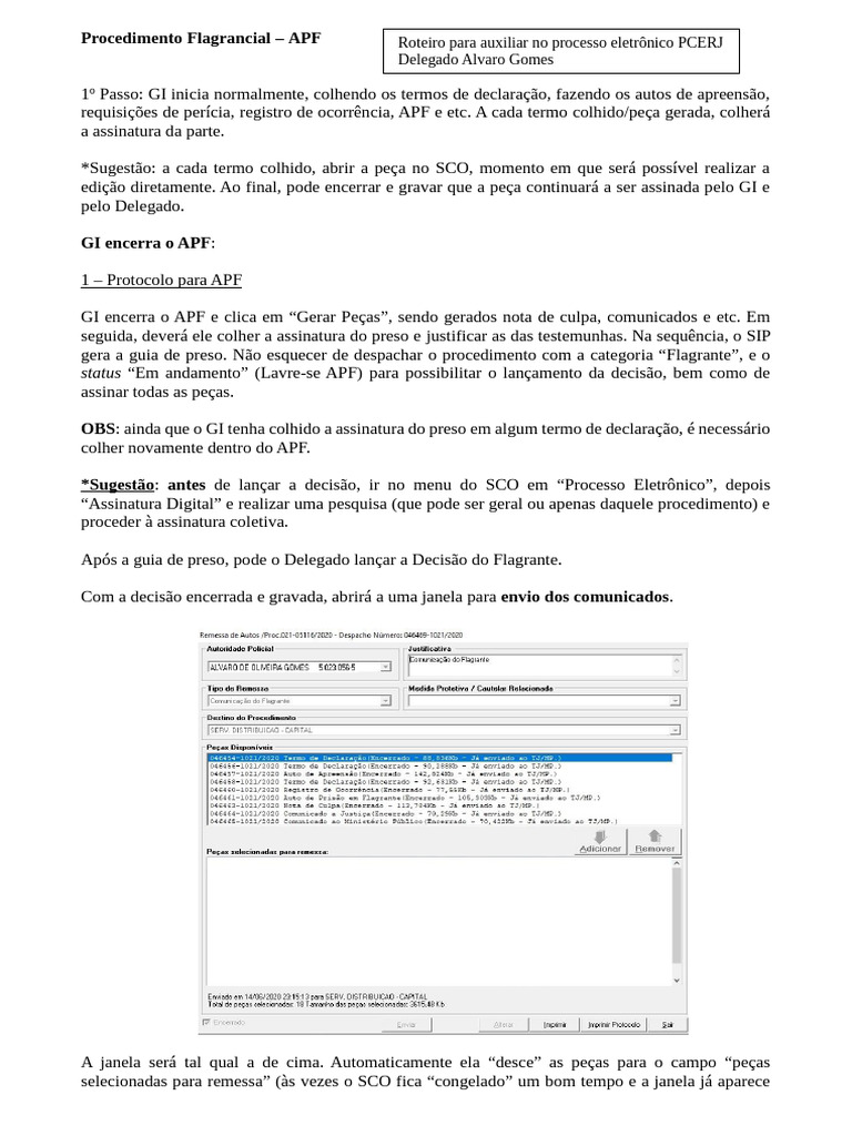 Roteiro APF eletrônico - 2023 - Atualizado | PDF