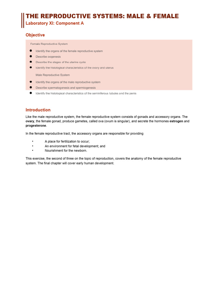 BIO 202 LAB reproductive system activity.docx | PDF | Menstrual Cycle ...