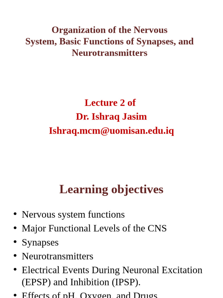 Lecture 2 | PDF | Inhibitory Postsynaptic Potential | Chemical Synapse