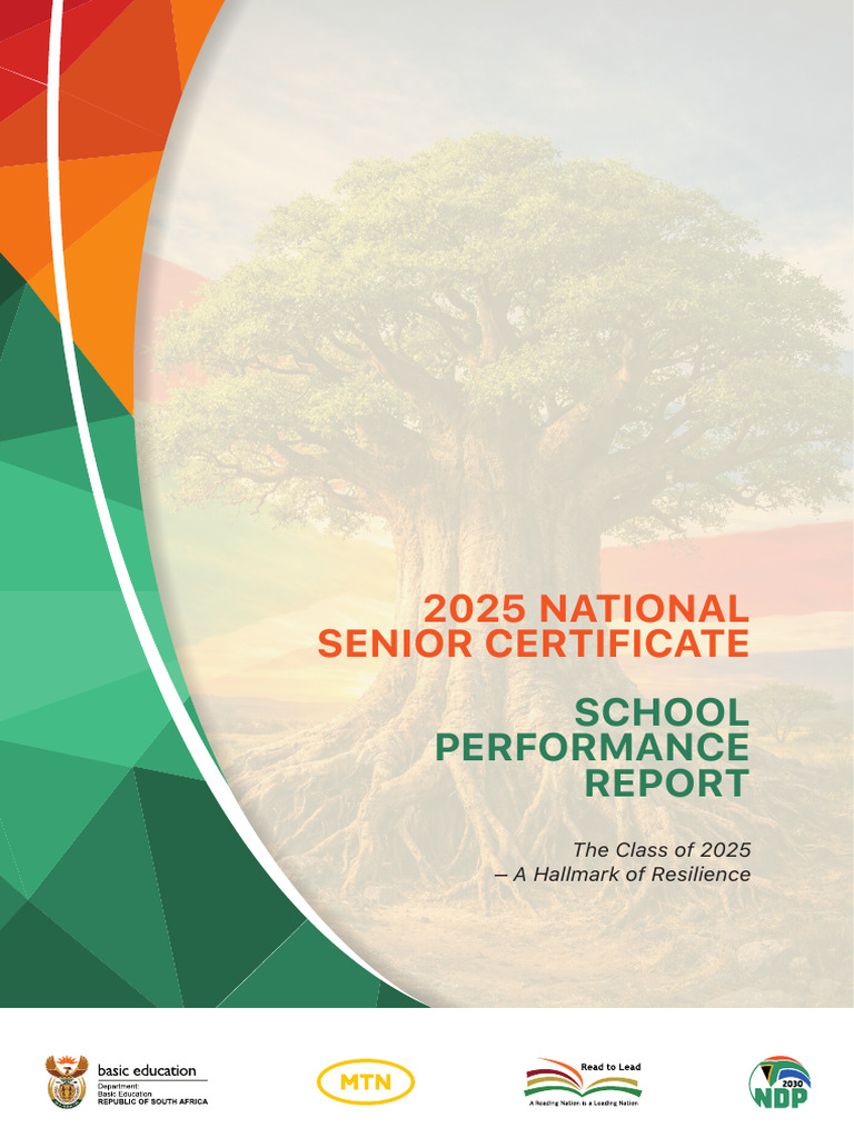 2025 School Performance Report | PDF | Curriculum | Learning