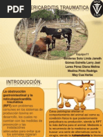 Técnicas de Enucleación en Pequeñas Especies. | PDF | Cirugía | Ojo