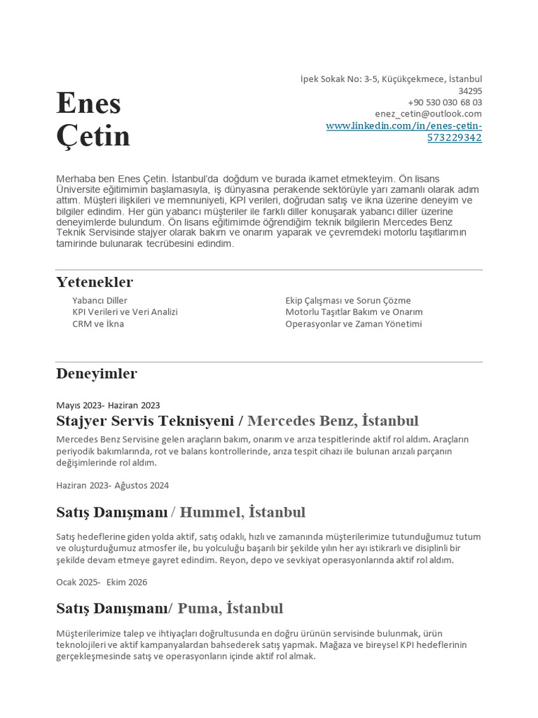 Enes Çetin Cv11.11.2025 | PDF