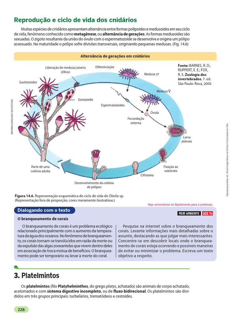 Z3 - Verminoses | PDF | Nematoda | Biologia