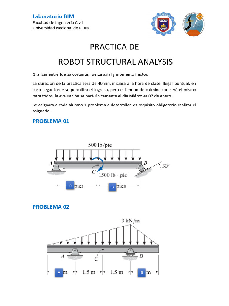 Practica de Robot Structural Analysis Rm | PDF