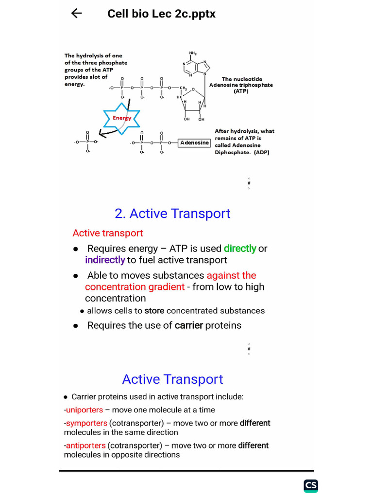 Cell Bio Lec 2C | PDF