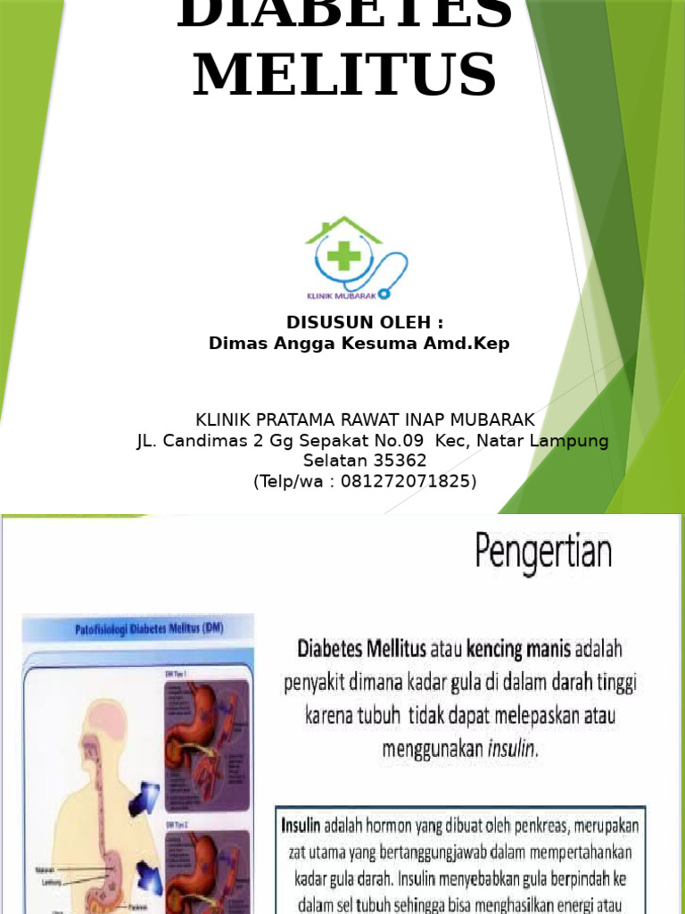 PPT DM 1 | PDF