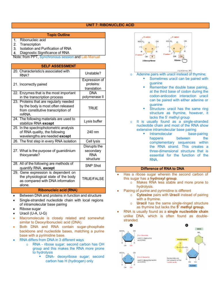 Topic 7 Transes | PDF | Rna | Messenger Rna