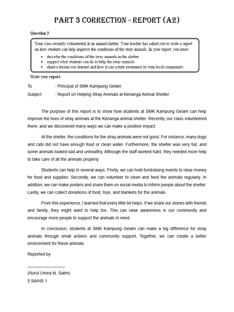 Helping Stray Animals: Student Report | PDF | Human–Animal Interaction ...