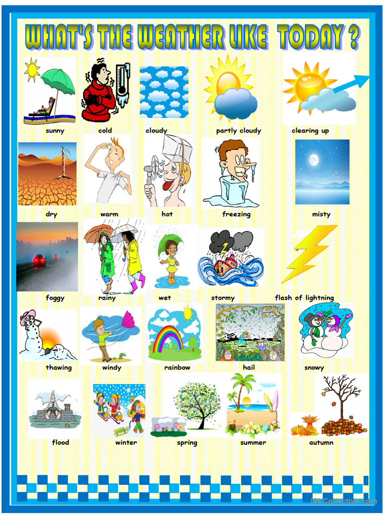 Weather and Seasons_ New Pictionary | PDF