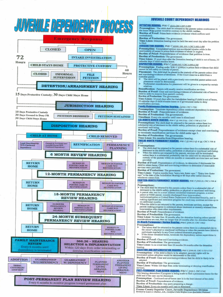 DCFS Court Flowchart | PDF
