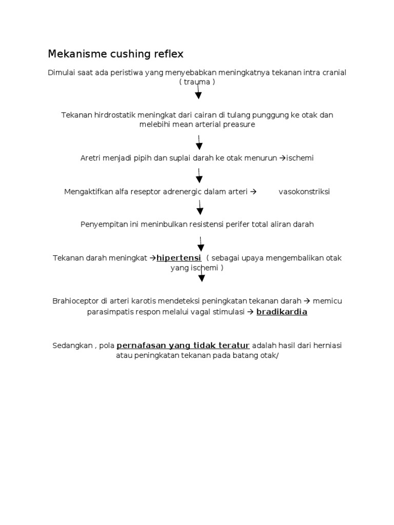 Mekanisme Cushing Reflex | PDF