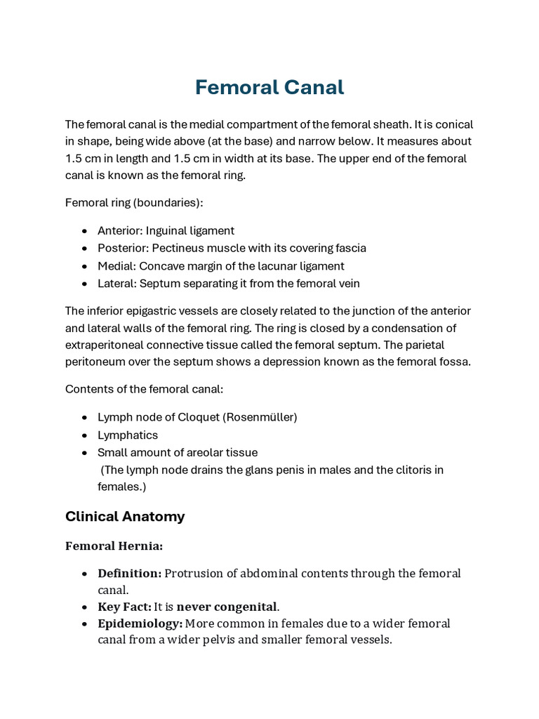 Lower Limb Till Knee | PDF | Knee | Human Leg