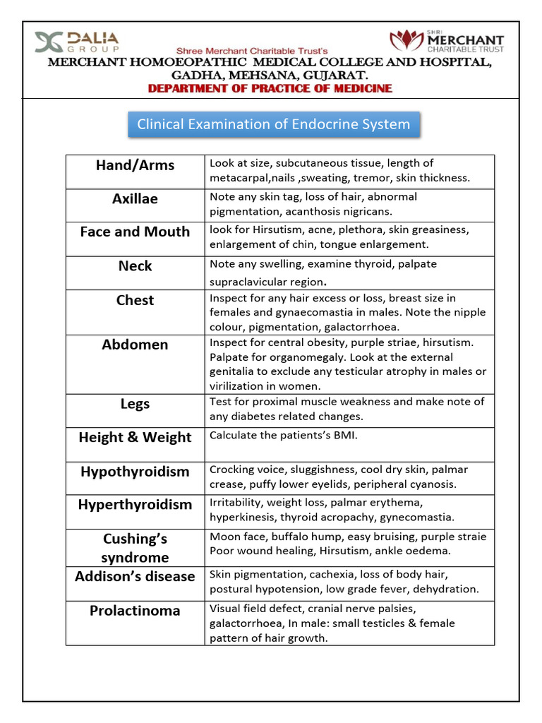 POM Chart-2 | PDF