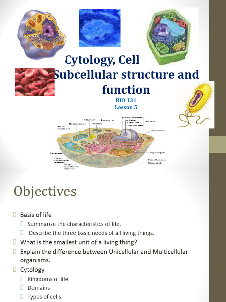 Lesson 5- Cytology, Cellular and Subcellular Structure and Function | PDF | Cell (Biology ...
