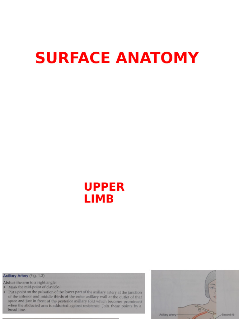 SURFACEANATOMY2022 | PDF