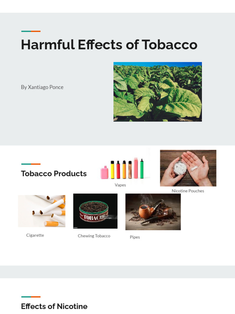 Dangers of Tobacco and Its Effects | PDF