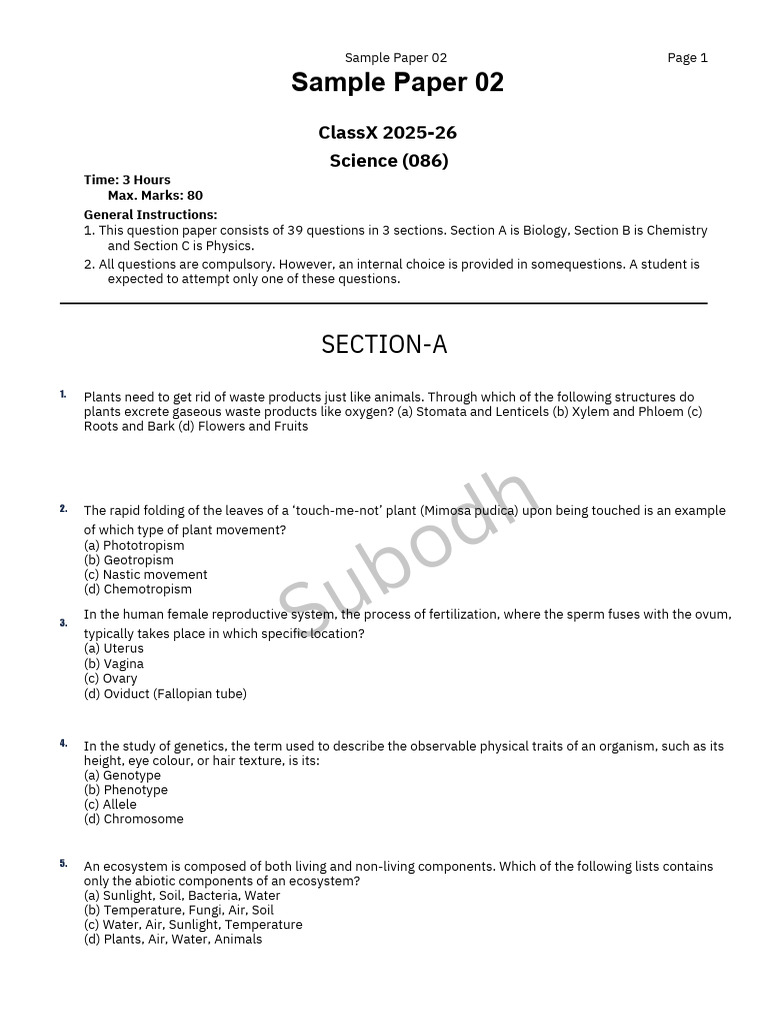 maths SQP-2 standard maths | PDF | Digestion | Biology