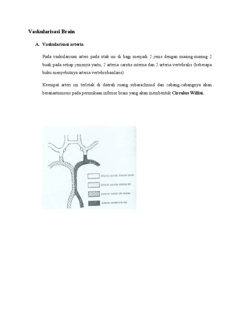 Vaskularisasi Brain | PDF