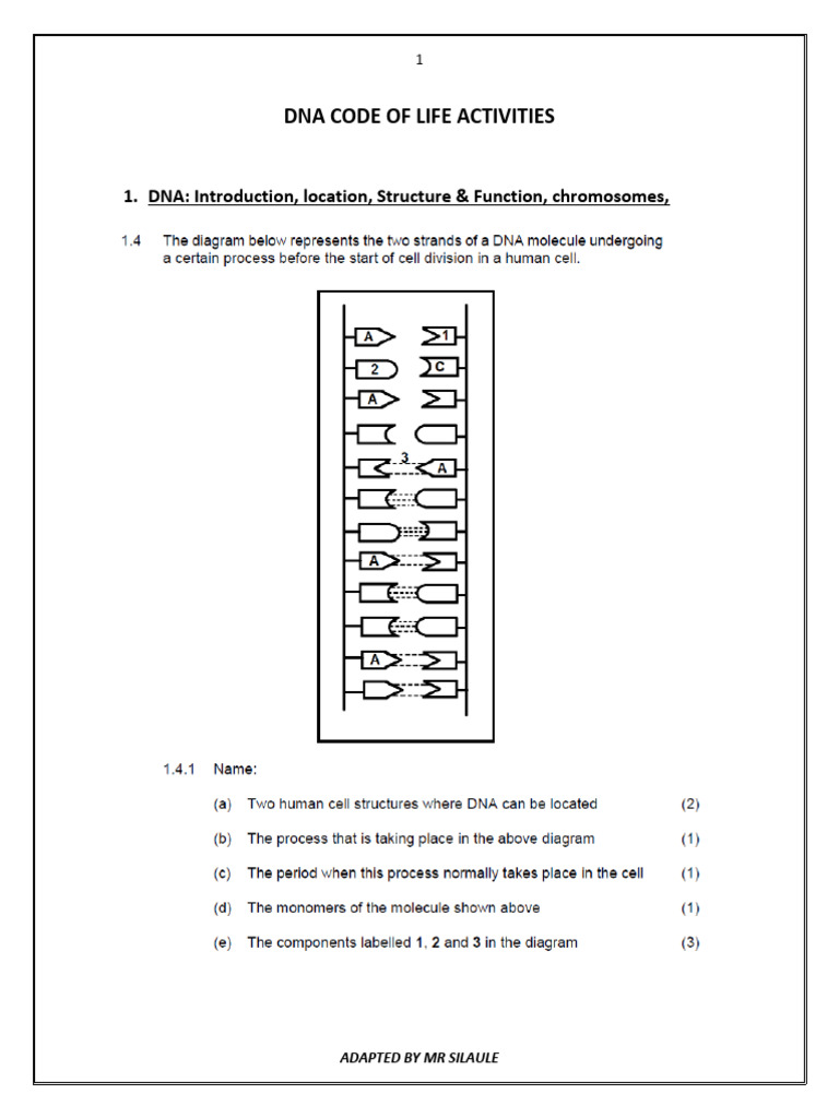 DNA CODE OF LIFE ACTIVITIES only_260113_080542 | PDF | Dna | Nucleic Acids