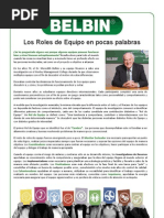 Modelo Roles Equipo Belbin | PDF | Aprendizaje | Mente