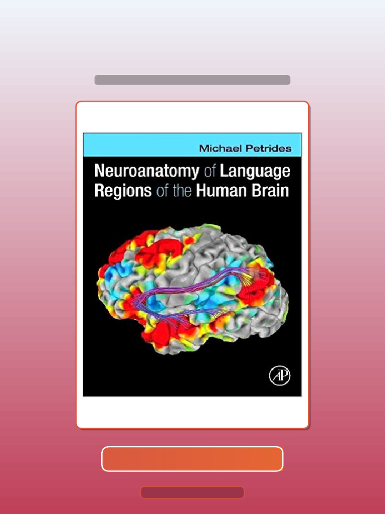 Test Bank for Neuroanatomy of Language Regions of the Human Brain by ...