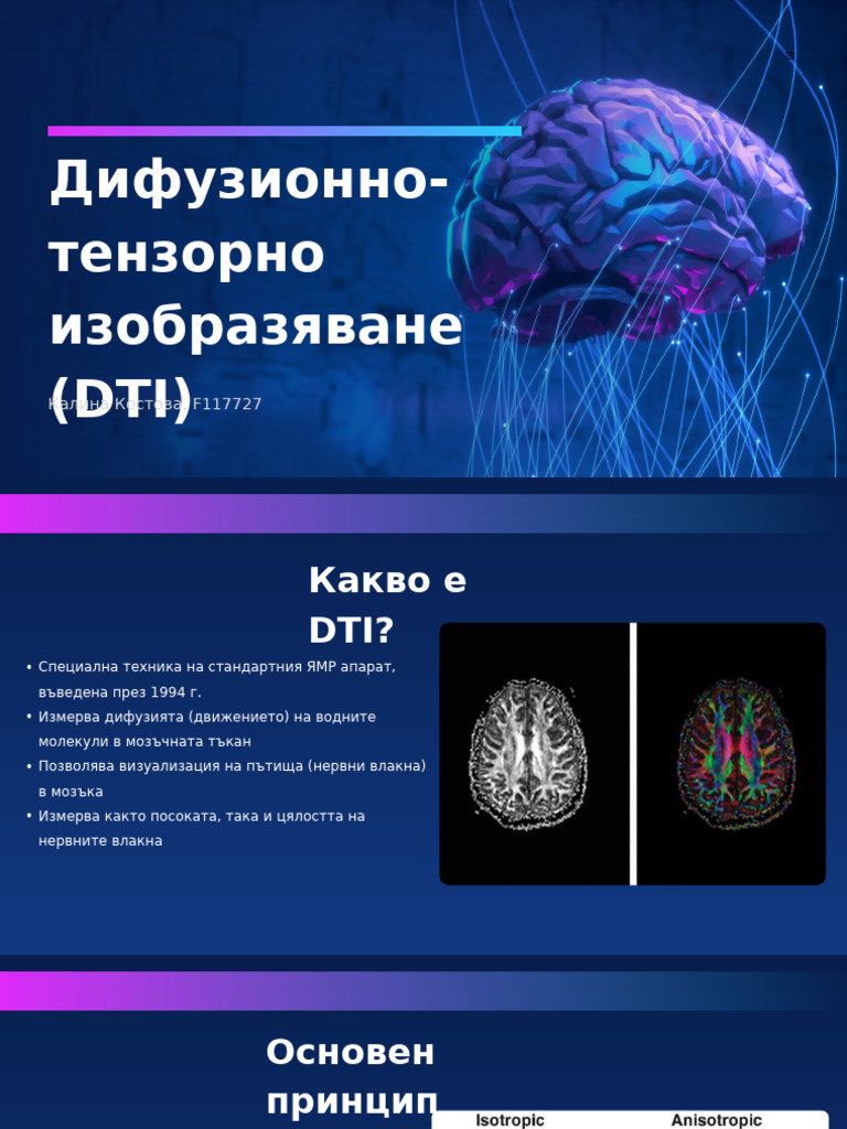 DTI | PDF