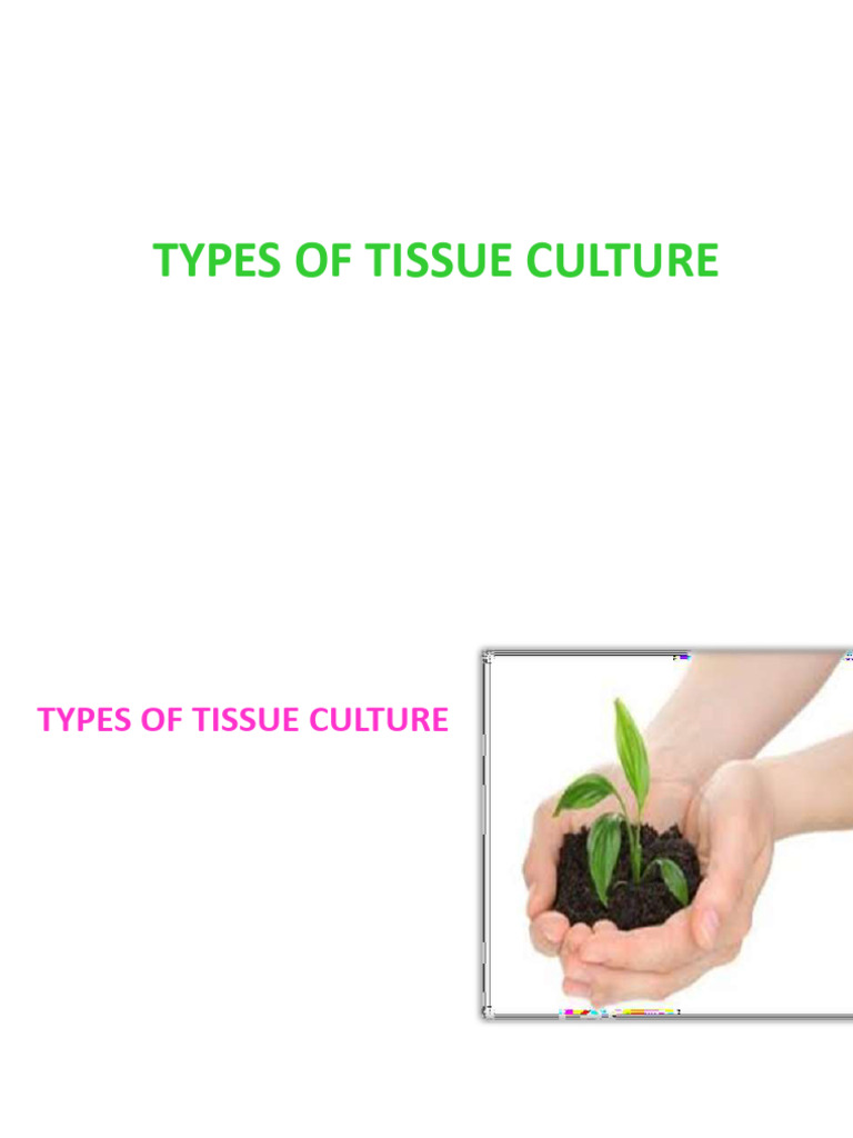 Types of Cultures in PTC | PDF | Seed | Embryo