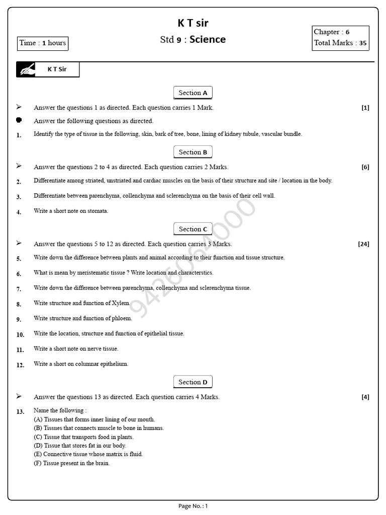 ANSKEY1767369058701 | PDF | Epithelium | Tissue (Biology)