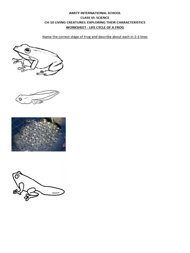 Frog Life Cycle Worksheet for Class VI | PDF