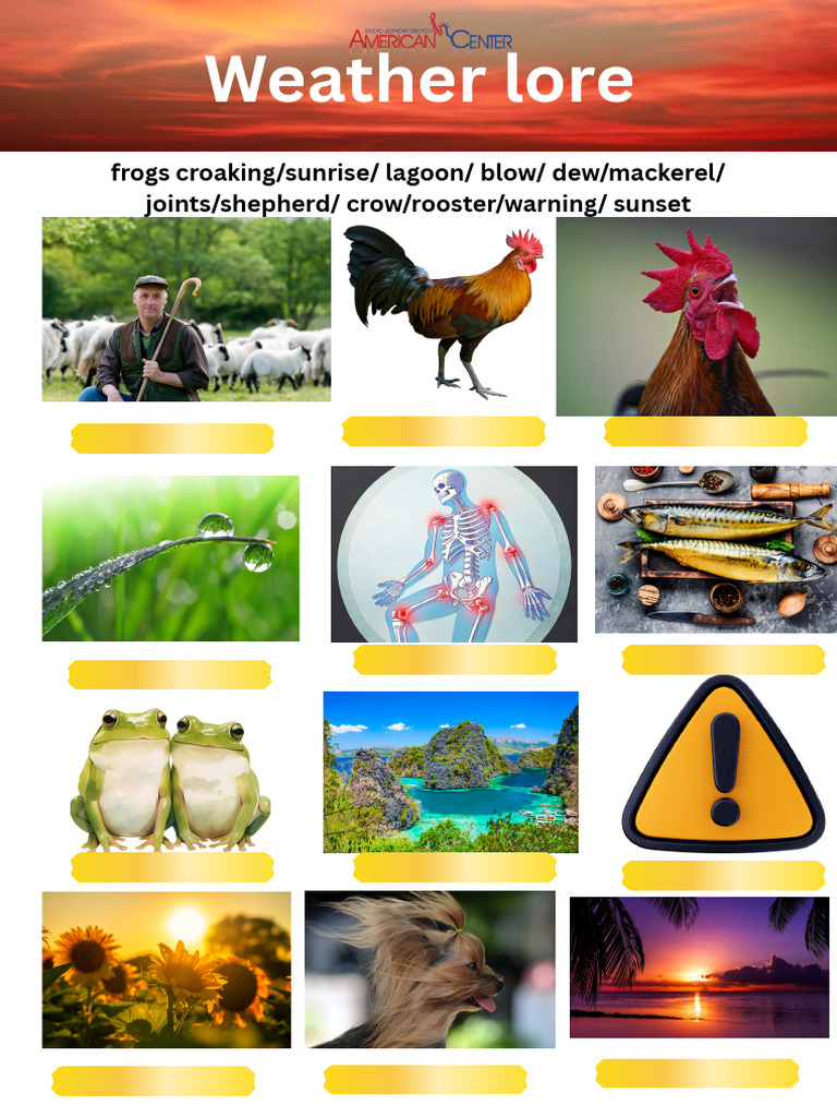 Weather Lore: Nature's Forecast Signs | PDF
