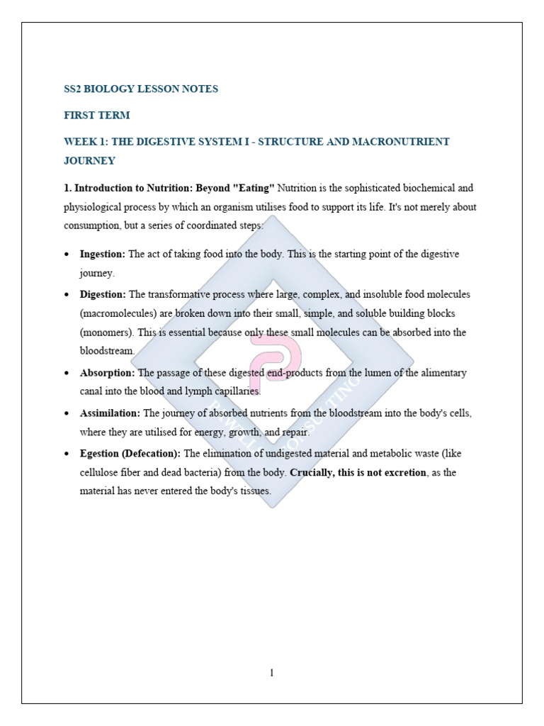 Ss2 Biology Lesson Notes | PDF | Digestion | Cellular Respiration