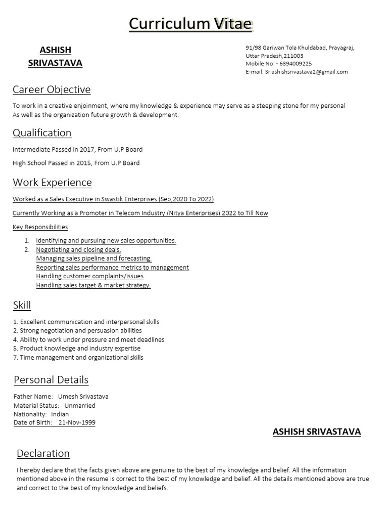 ASHISH Resume | PDF