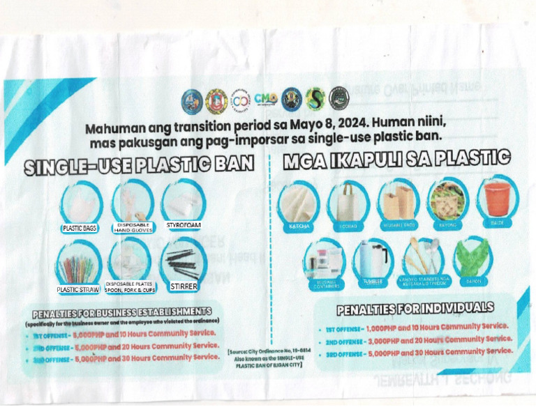 Plastic Ban | PDF