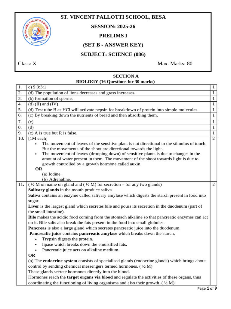 Class X-Science-Prelims I- Set B-Answer Key | PDF | Pancreas | Sodium ...