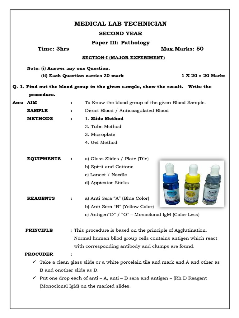 MLT 2nd Year Pathology | PDF | Blood Type | Knife