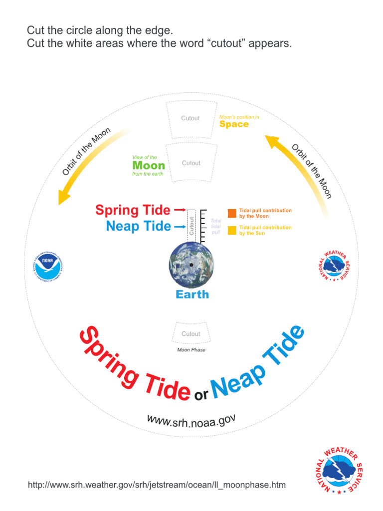 Understanding Moon Phases and Tides | PDF | Tide | Geophysics