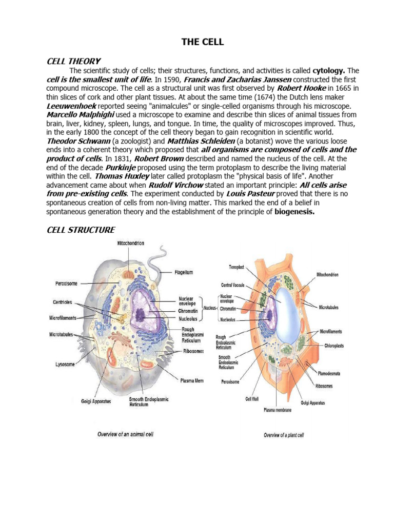 25 26. Bio 111. the Cell Theory and Cell Ultrastructure | PDF | Cell ...