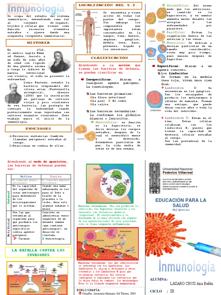 TRIPTICO Inmunologia | Sistema inmune | Inmunología