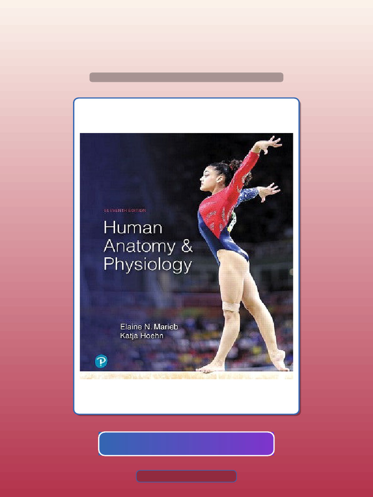 Test Bank for Human Anatomy and Physiology 11th Edition Elaine N Marieb ...