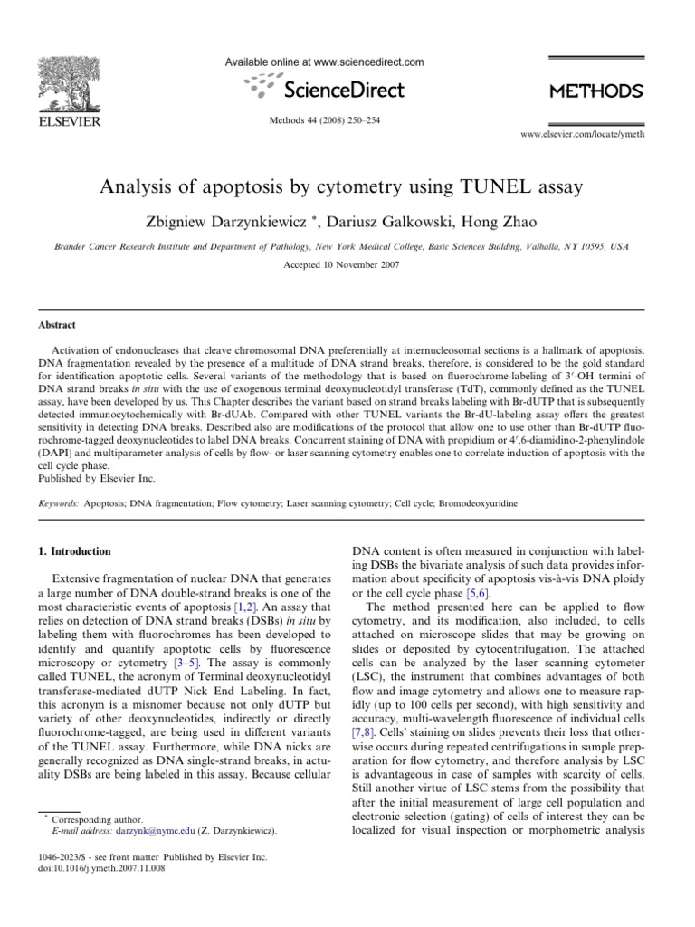 TUNEL Assay for Apoptosis Analysis | PDF | Flow Cytometry | Staining