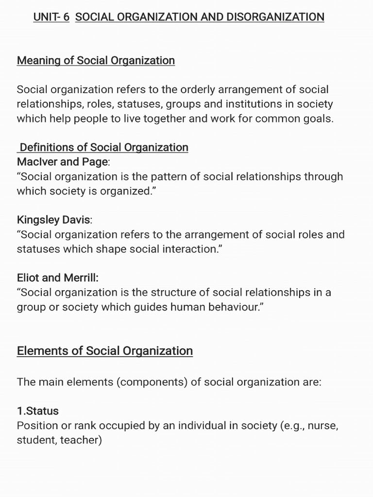 Social organization and disorganization | PDF