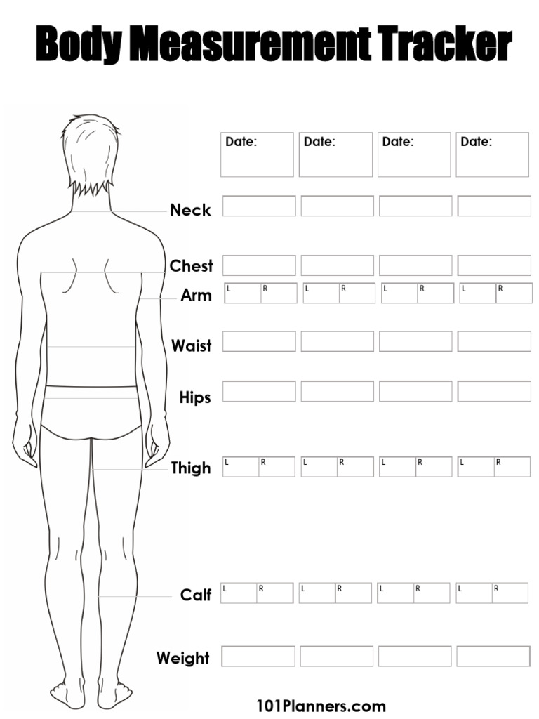 Body Measurement Tracker 3 | PDF