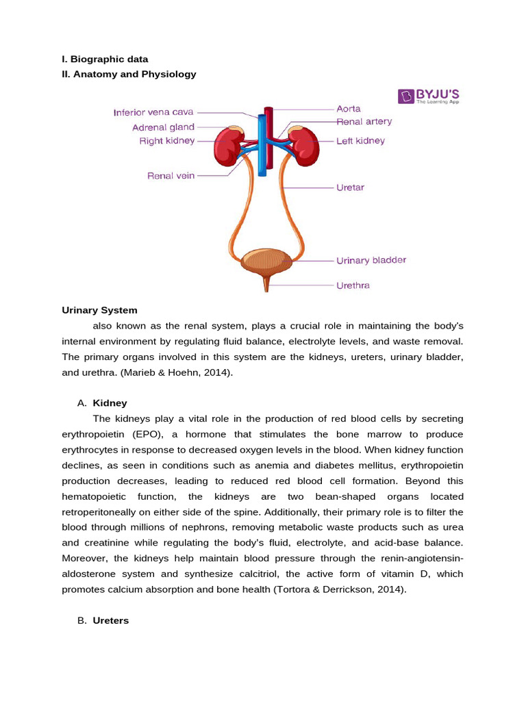 Case Study Draft 1.0 ( Rodrigo) | PDF | Anemia | Urinary System