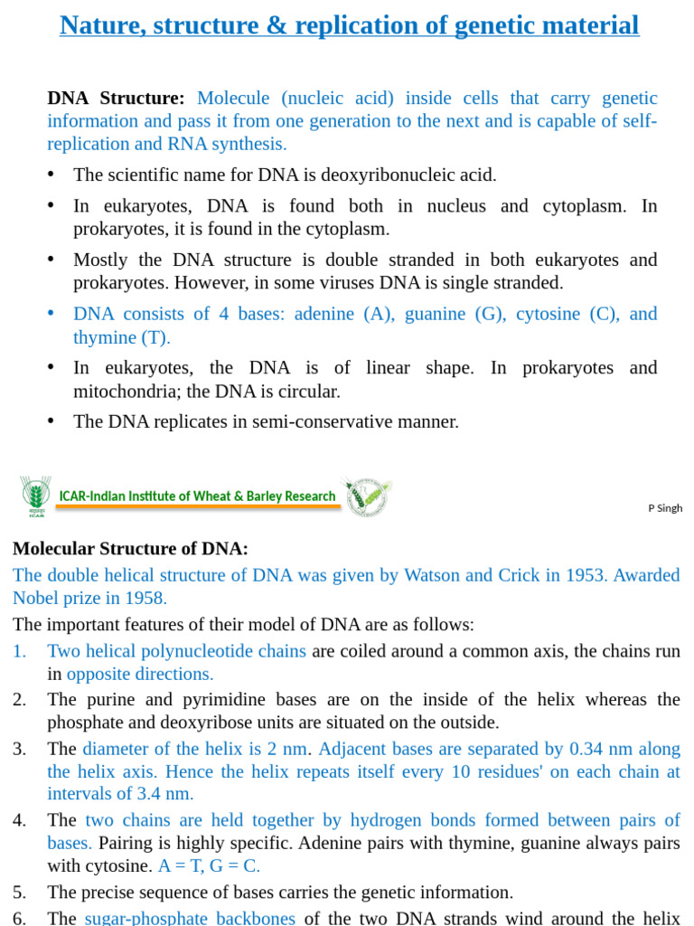 DNA Structure and Genetic Material Overview | PDF | Dna Replication ...