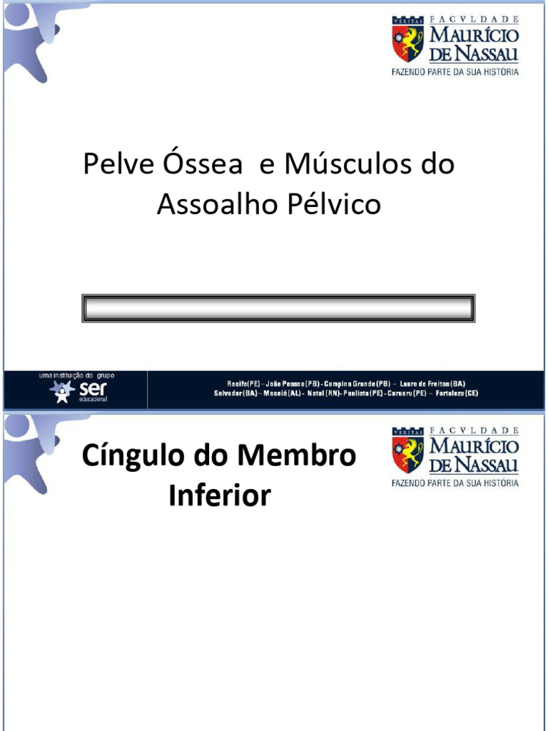 Anatomia da Pelve e Músculos Pélvicos | PDF | Pélvis | Sistema Locomotor
