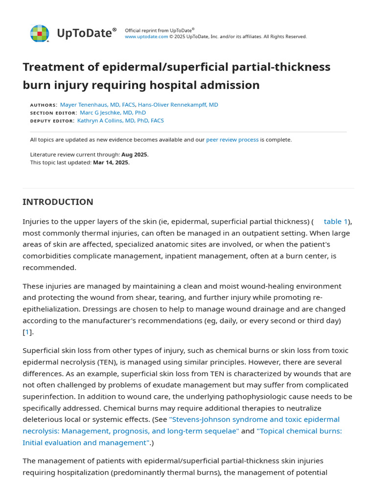 Treatment of Epidermal_superficial Partial-thickness Burn Injury ...