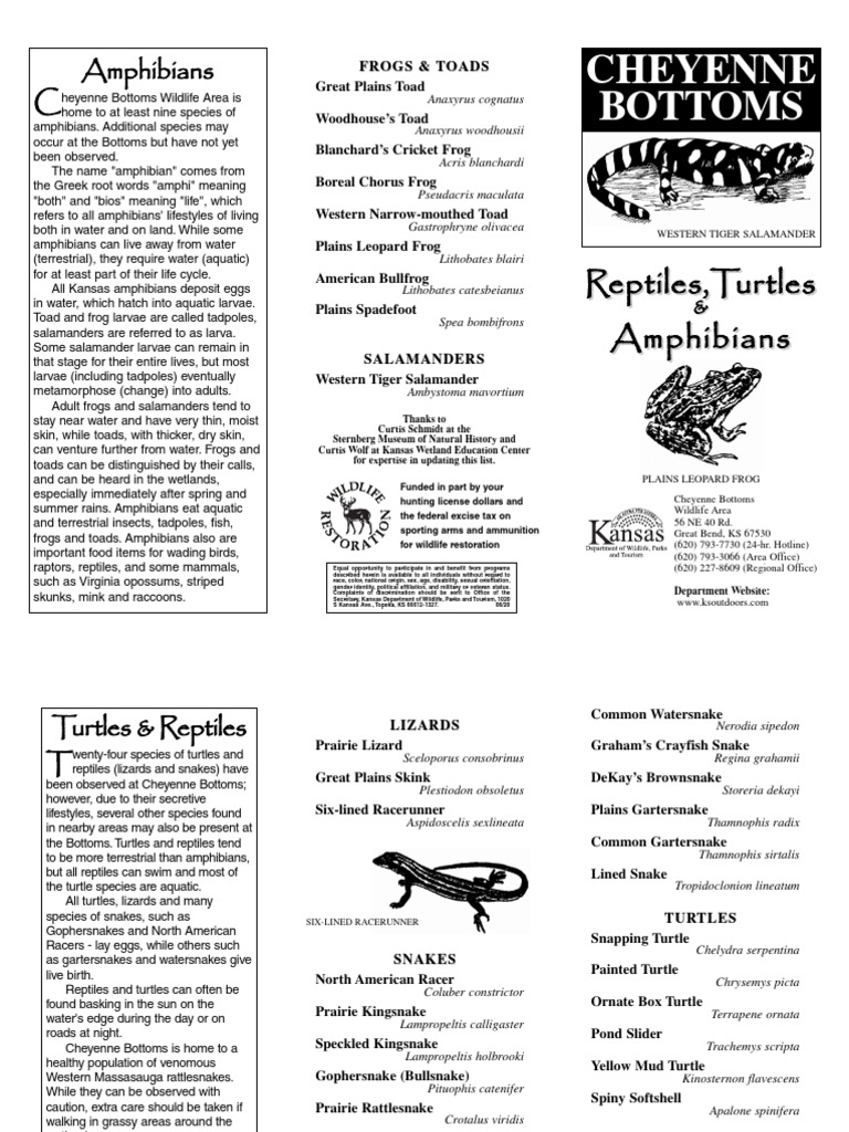 Cheyenne Bottoms Reptiles | PDF | Frog | Amphibian